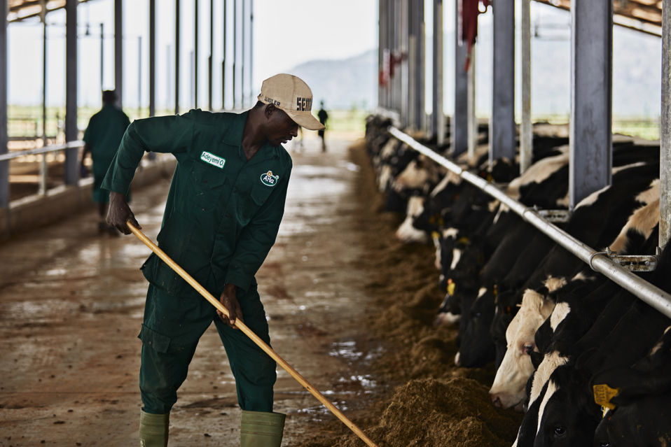 Evolving dairy in developing countries | Arla