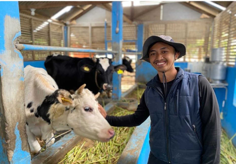 Evolving dairy in developing countries | Arla
